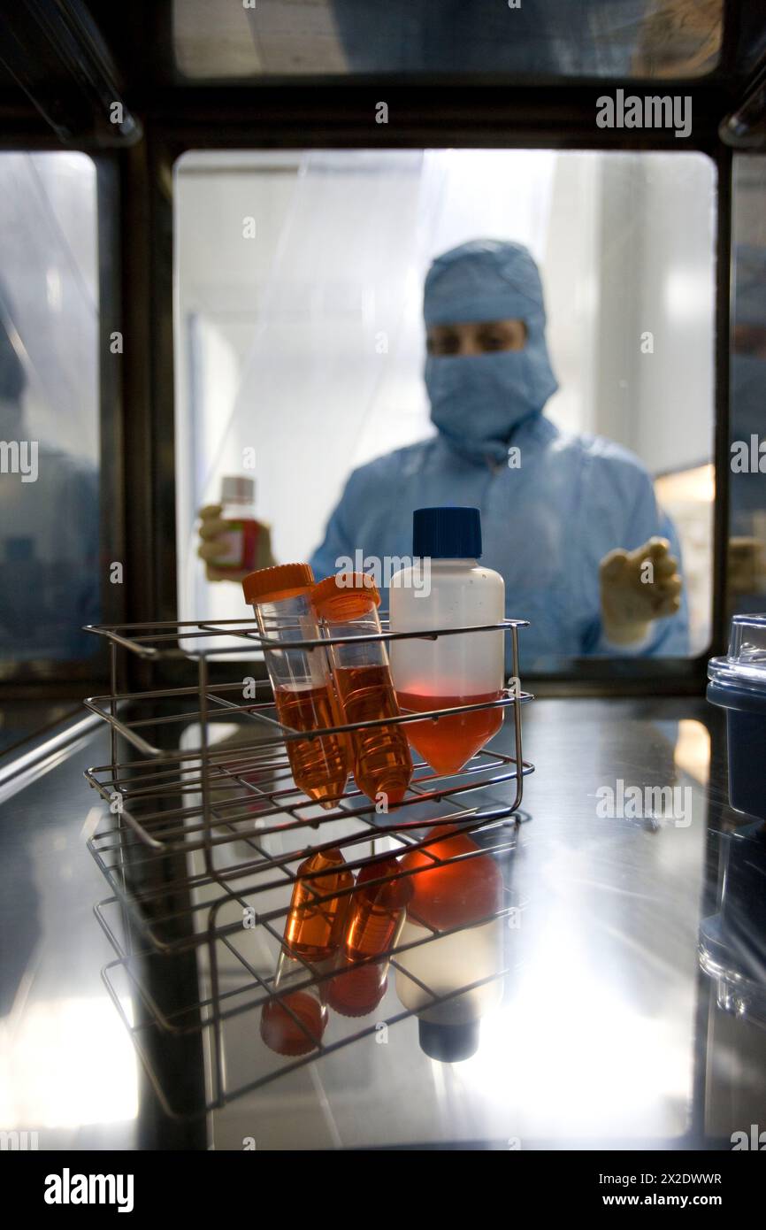 SAS window, clean room, DMEM (Dulbeco´s Modified Eagle´s Medium ...