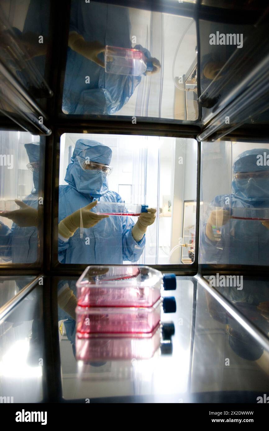 SAS window, clean room, DMEM (Dulbeco´s Modified Eagle´s Medium ...