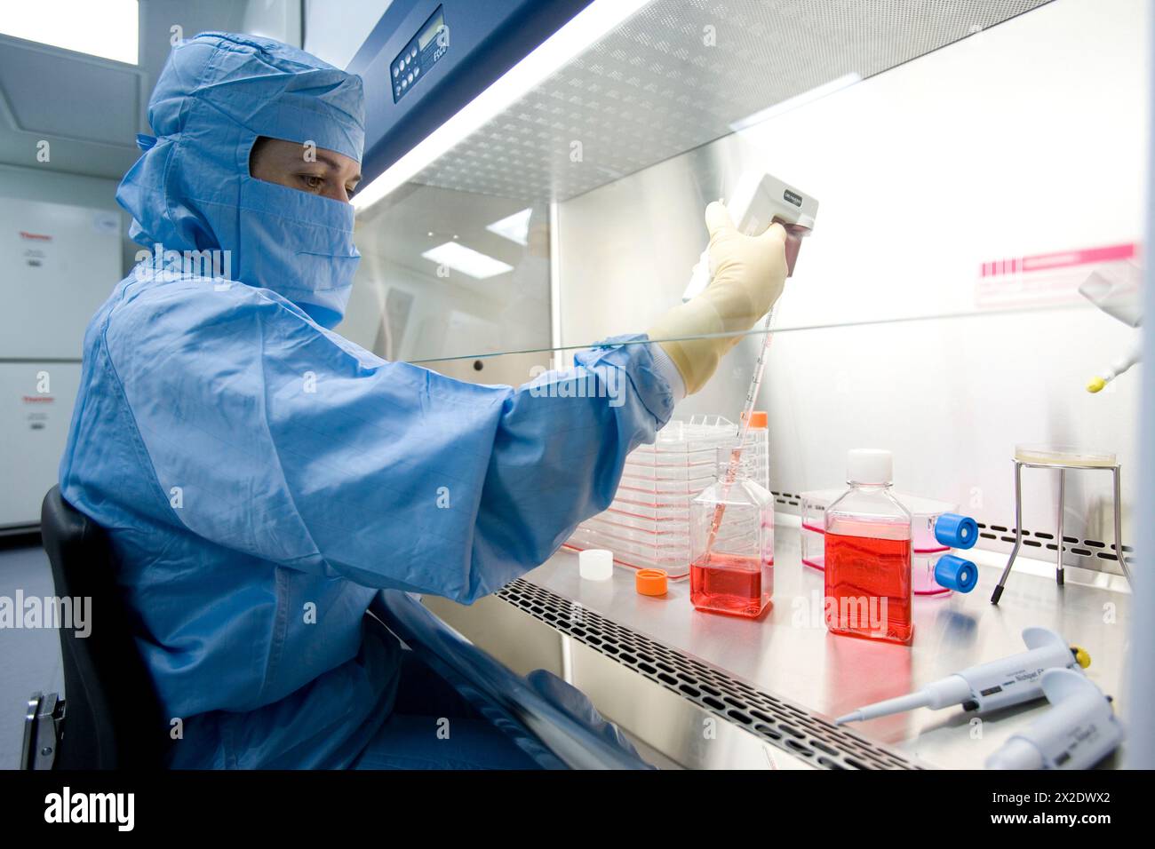 Clean room, preparing cultures in laminar flow cabinet, Medio DMEM ...