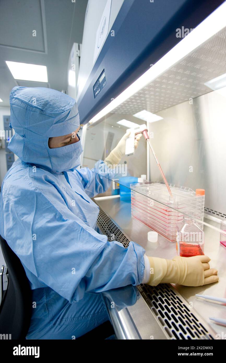 Clean room, preparing cultures in laminar flow cabinet, Medio DMEM ...