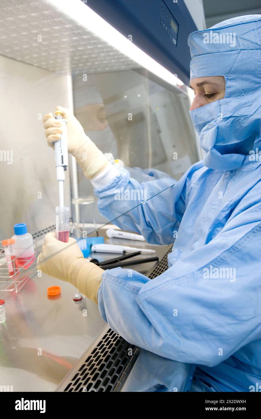 Clean room, preparing cultures in laminar flow cabinet, DMEM (Dulbeco´s ...