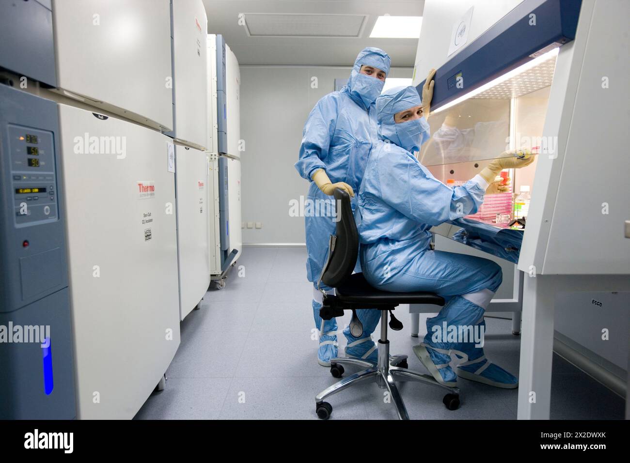Clean room, preparing cultures in laminar flow cabinet, DMEM (Dulbeco´s ...