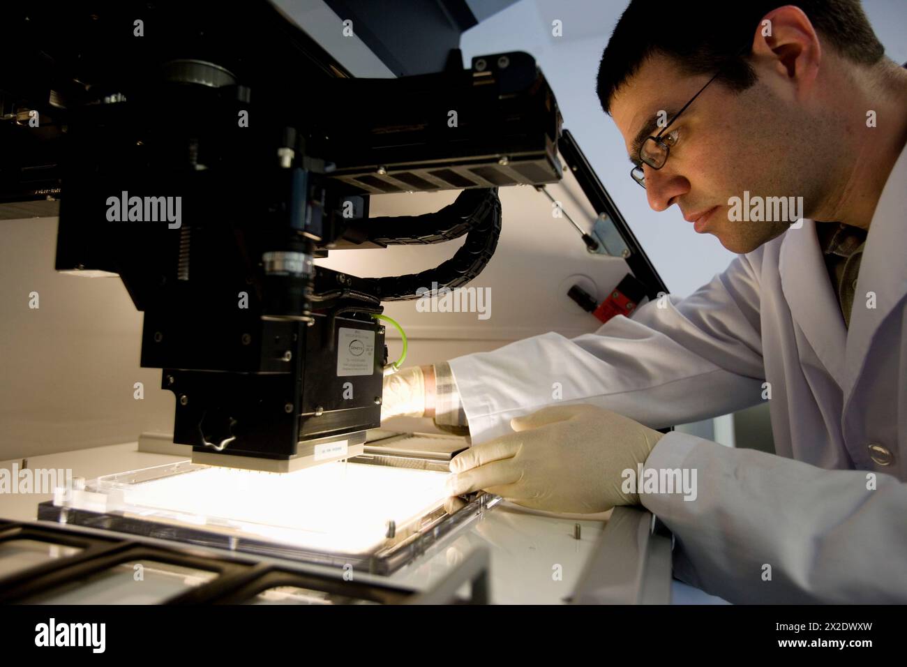 HTS colony picking. Biopharmaceutical lab, development of new ...