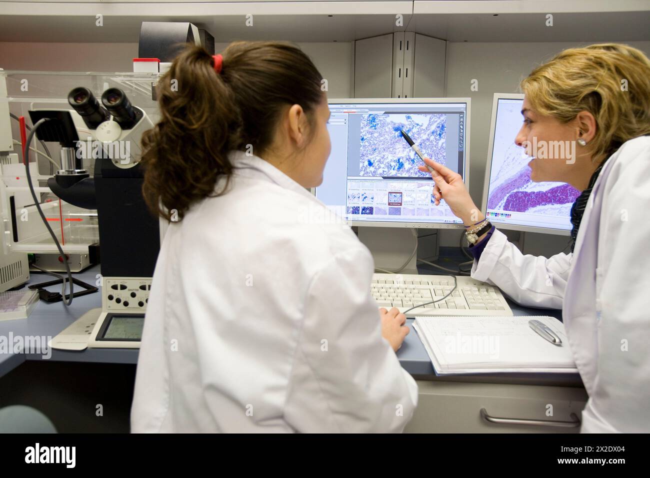 Histological cuts, confocal microscope, biopharmaceutical lab ...