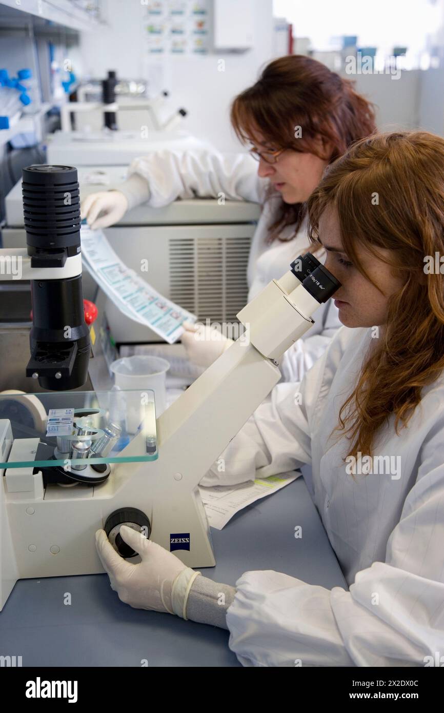 Counting cells, Neubauer chamber, culture room, biopharmaceutical lab ...