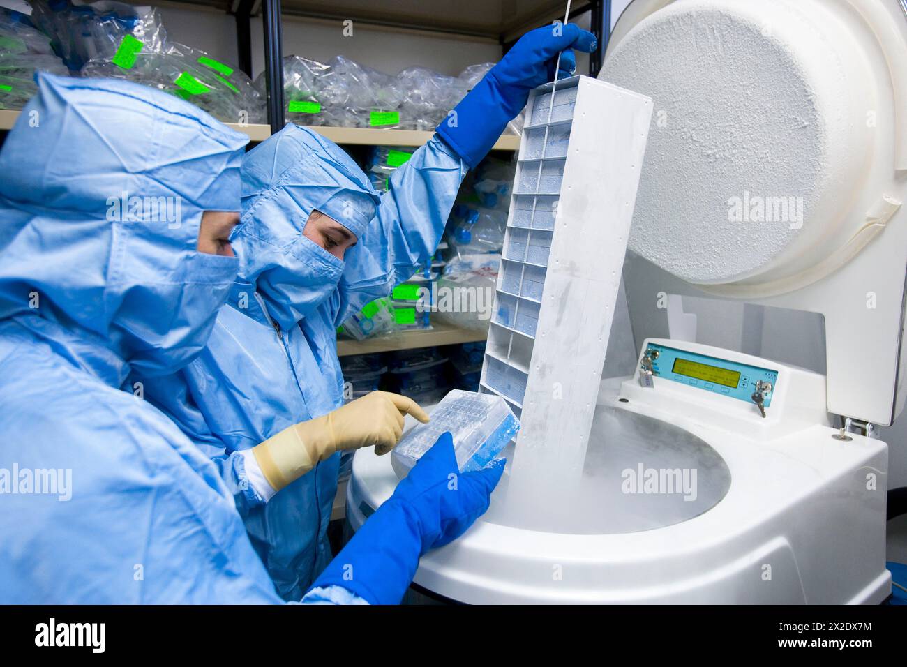 Cryonics cryopreservation samples in nitrogen hi-res stock photography ...