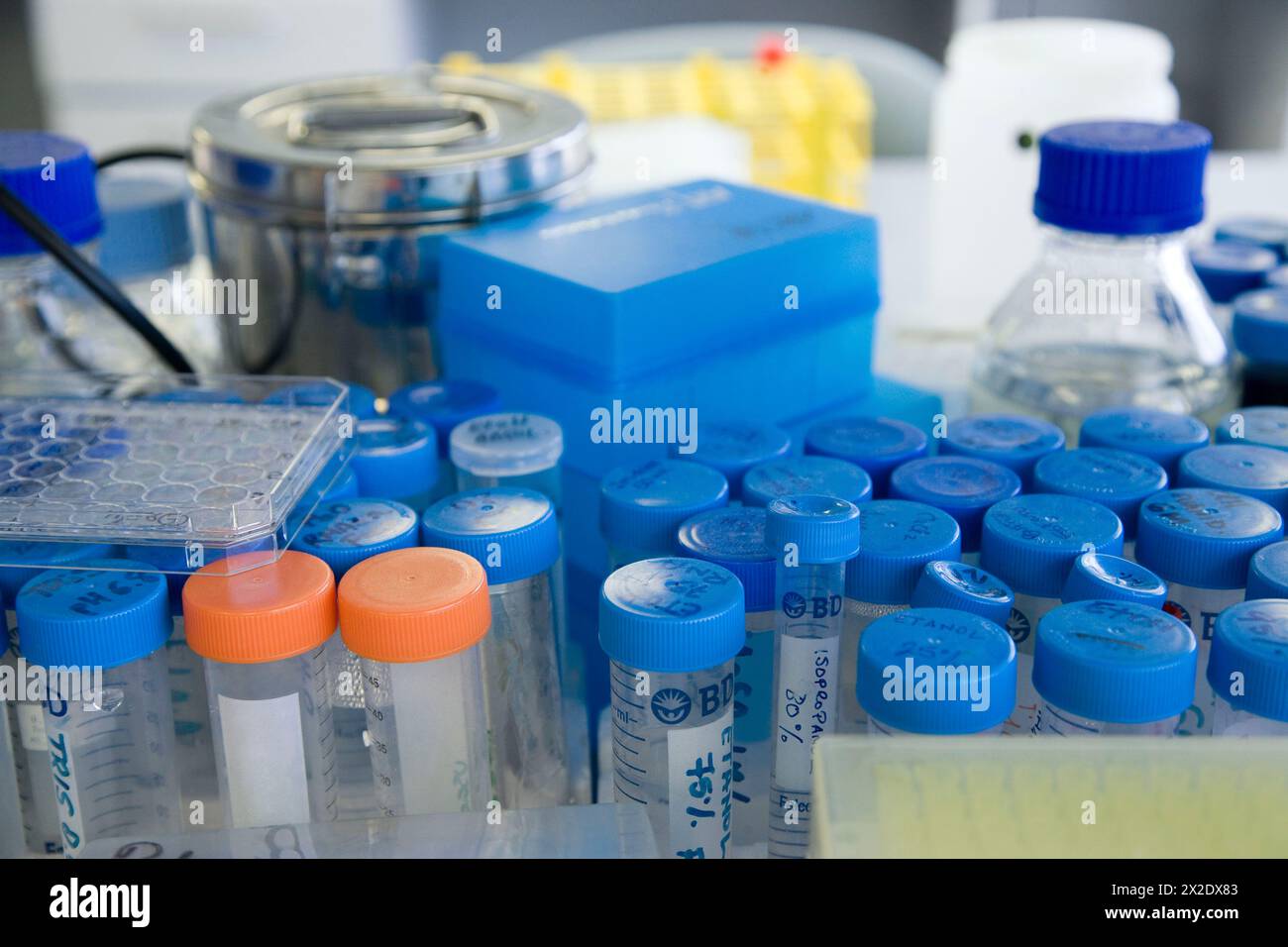 Biopharmaceutical lab, development of new therapeutic molecules based ...