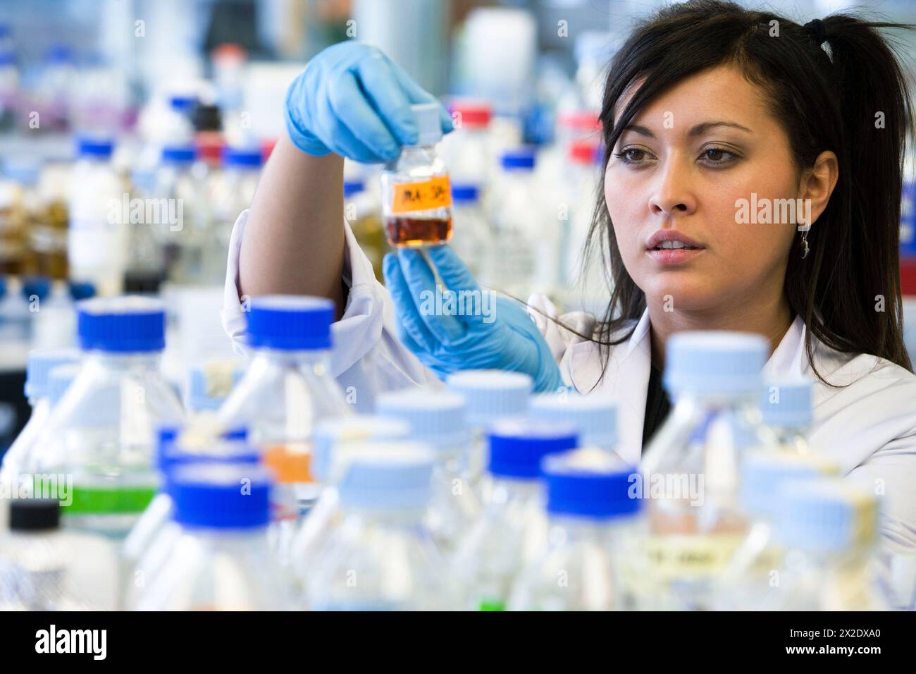 Researcher, biopharmaceutical lab, development of new therapeutic ...