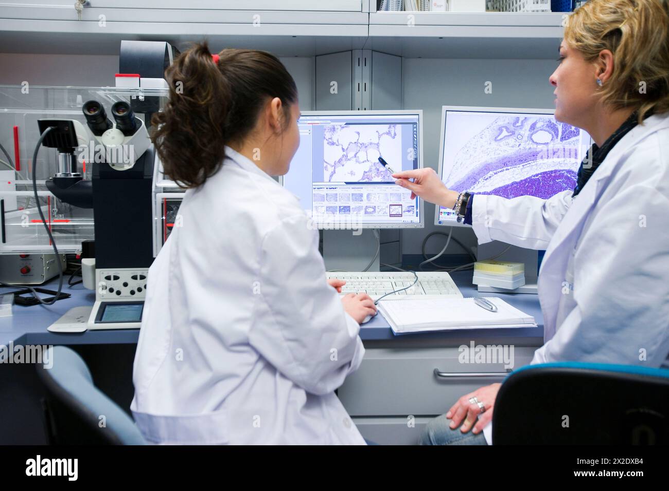 Histological cuts, confocal microscope, biopharmaceutical lab ...