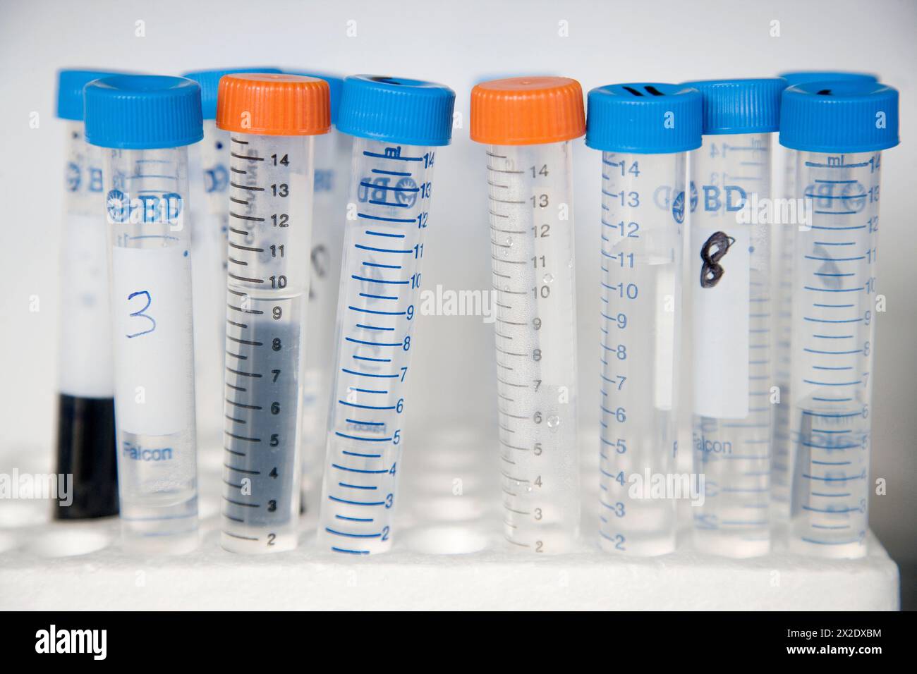 Culture room, biopharmaceutical lab, development of new therapeutic ...