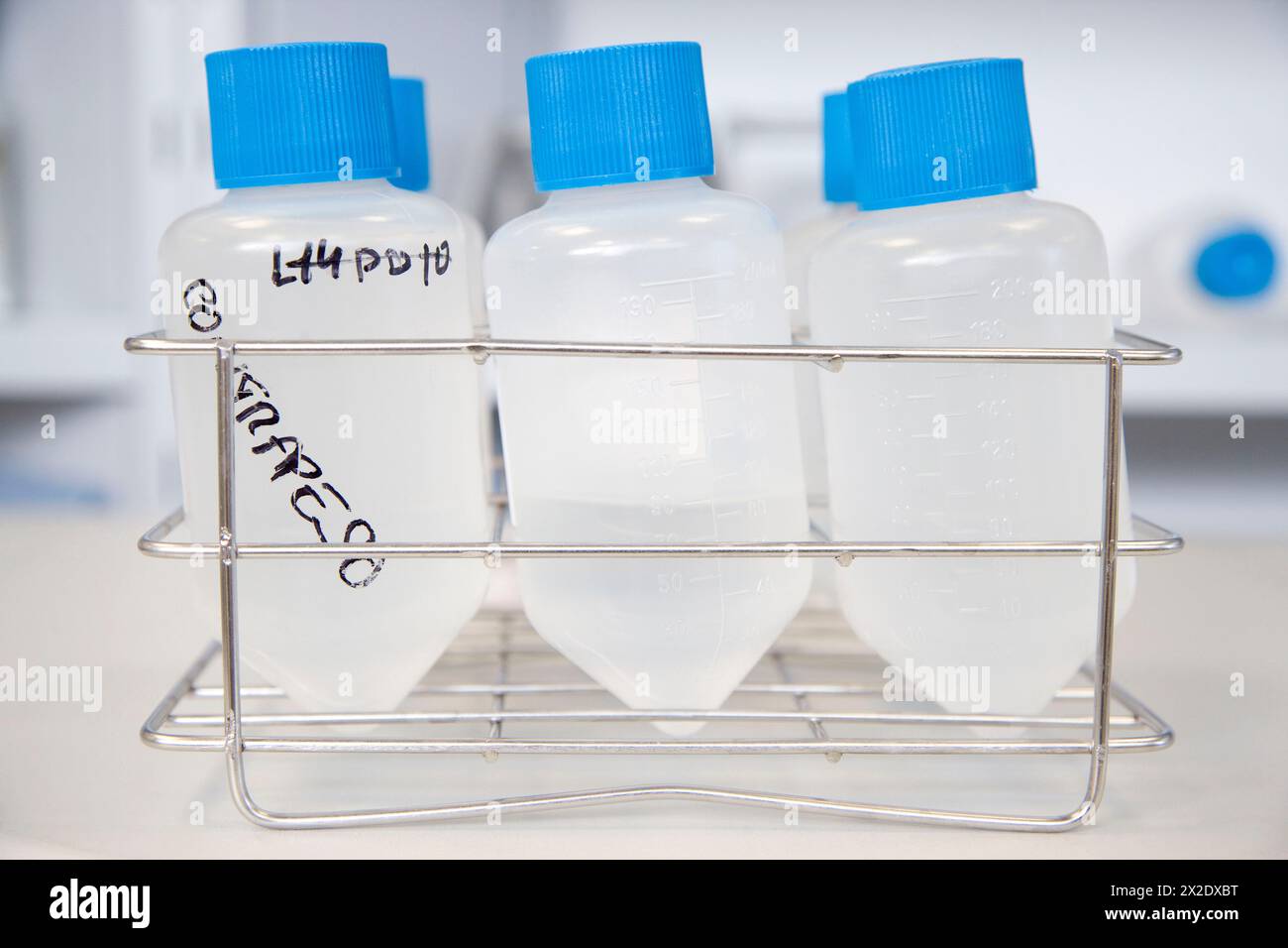 Culture room, biopharmaceutical lab, development of new therapeutic ...