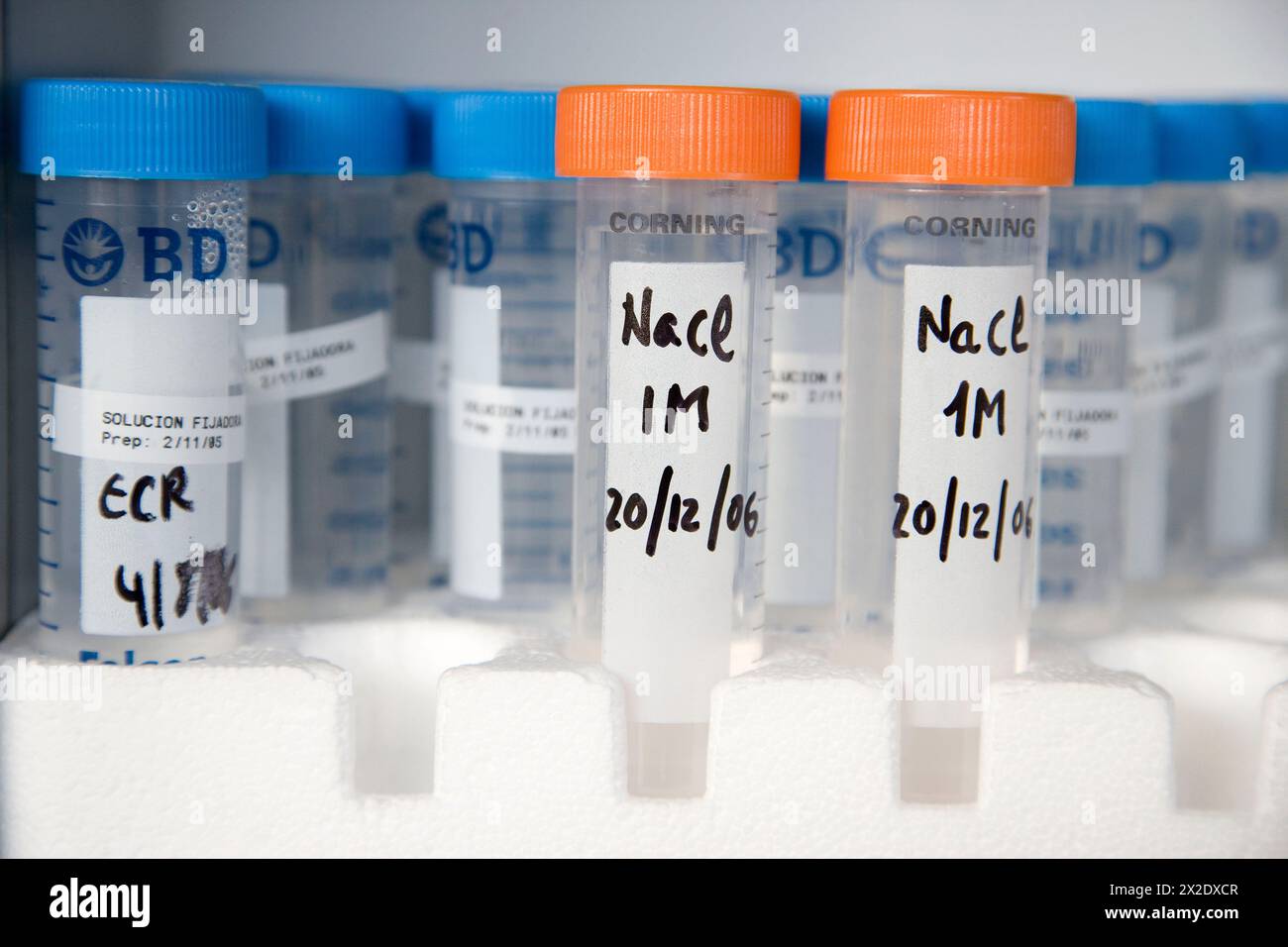 Culture room, biopharmaceutical lab, development of new therapeutic ...