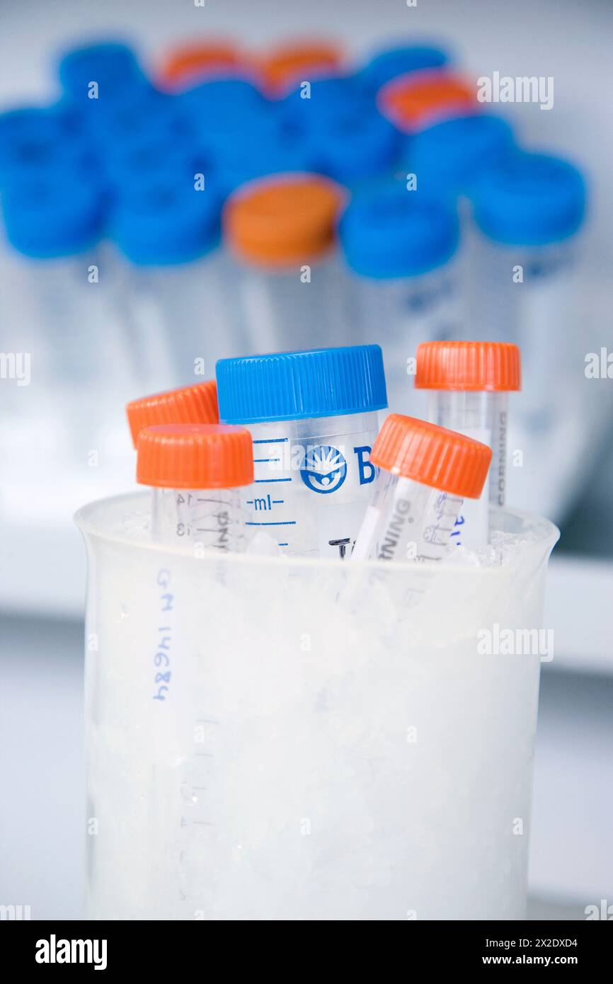 Dry ice for sample freezing, culture room, biopharmaceutical lab ...