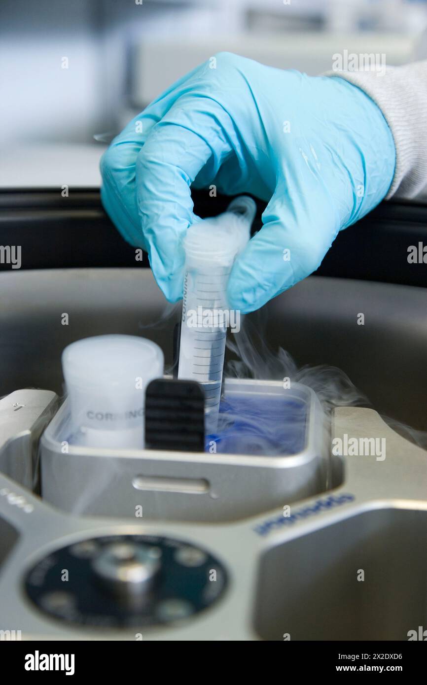 Centrifuge, culture room, biopharmaceutical lab, development of new ...