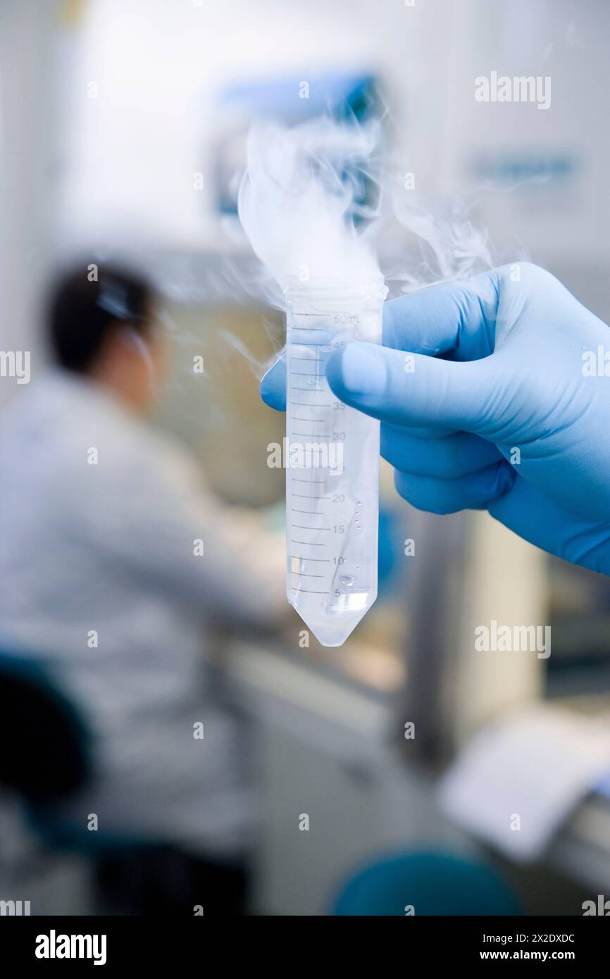 Dry ice for sample freezing, culture room, biopharmaceutical lab ...