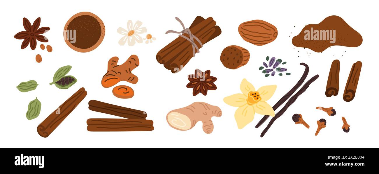 Fragrant roots Stock Vector Images - Alamy