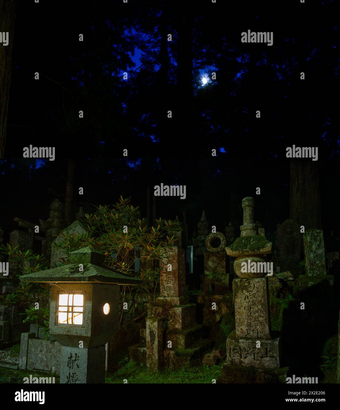 Atmospheric night walk in the cemetery at Mount Koyasan, UNESCO world ...