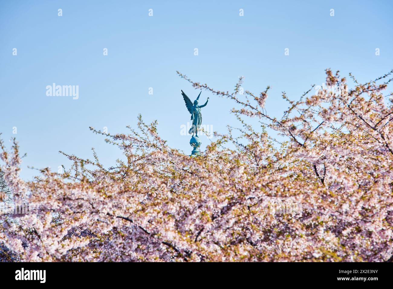 Copenhagen Langelinieparken with the military angel statue among spring ...