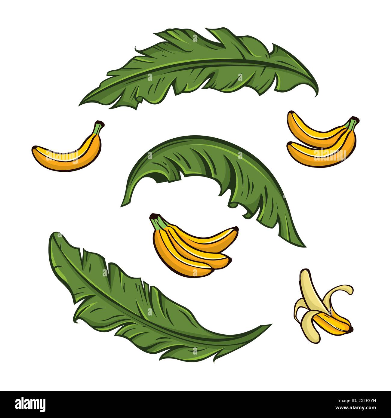 Banana vector and banana leaf Icon Set. banana icon vector Stock Vector ...