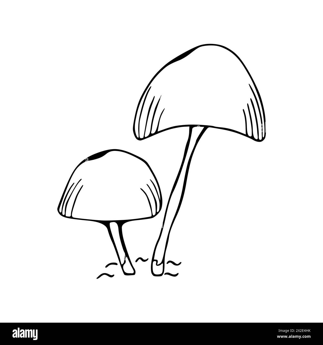 Illustration of the mushroom family. Poisonous mushroom, toadstool ...