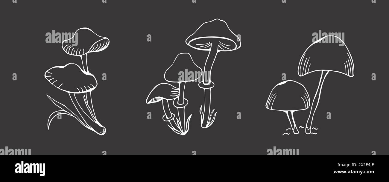 Set of family poisonous mushrooms, toadstools. Doodle. Vector ...