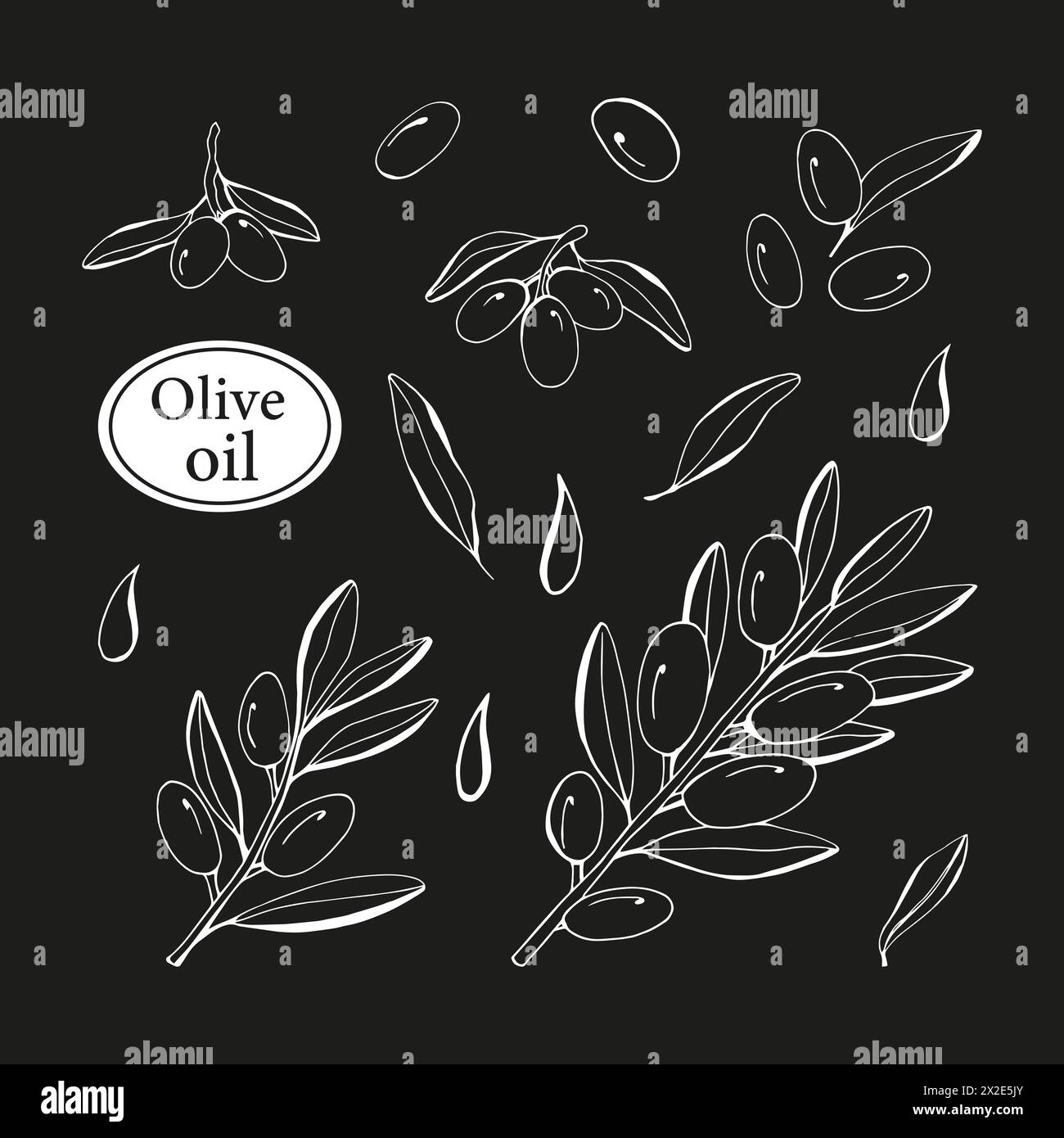 Olive line set. Vector branch, sketch fruits, foliage and flower ...
