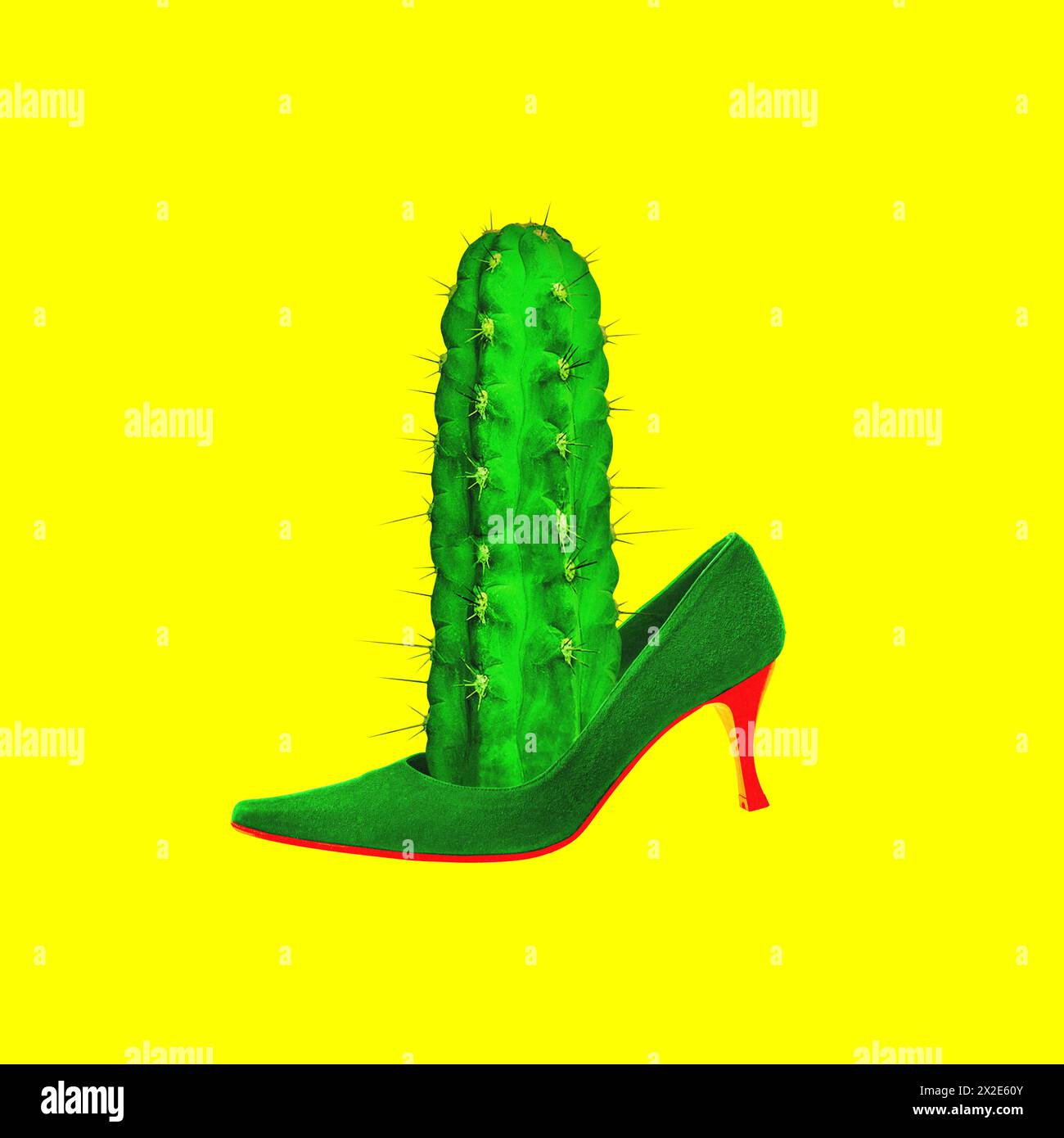 Cactus growing out of bright green high heel shoe on yellow background ...