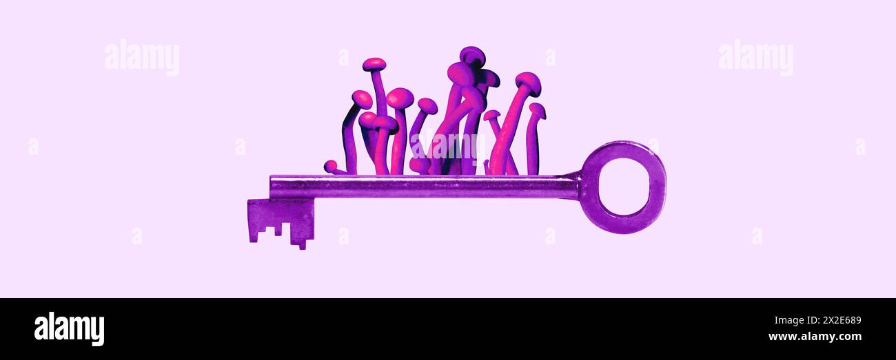 Purple key with mushrooms sprouting from top on light pink background ...