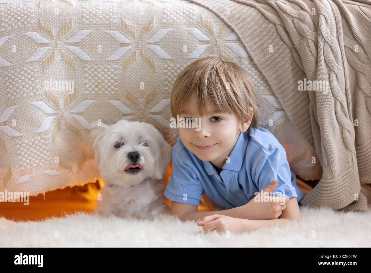 Little preschool child, hiding under the bed with his dog, holding ...
