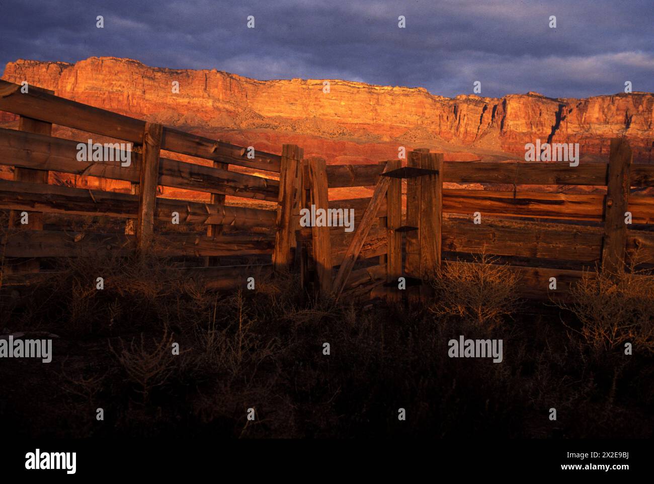 Scott warren arizona hi-res stock photography and images - Alamy