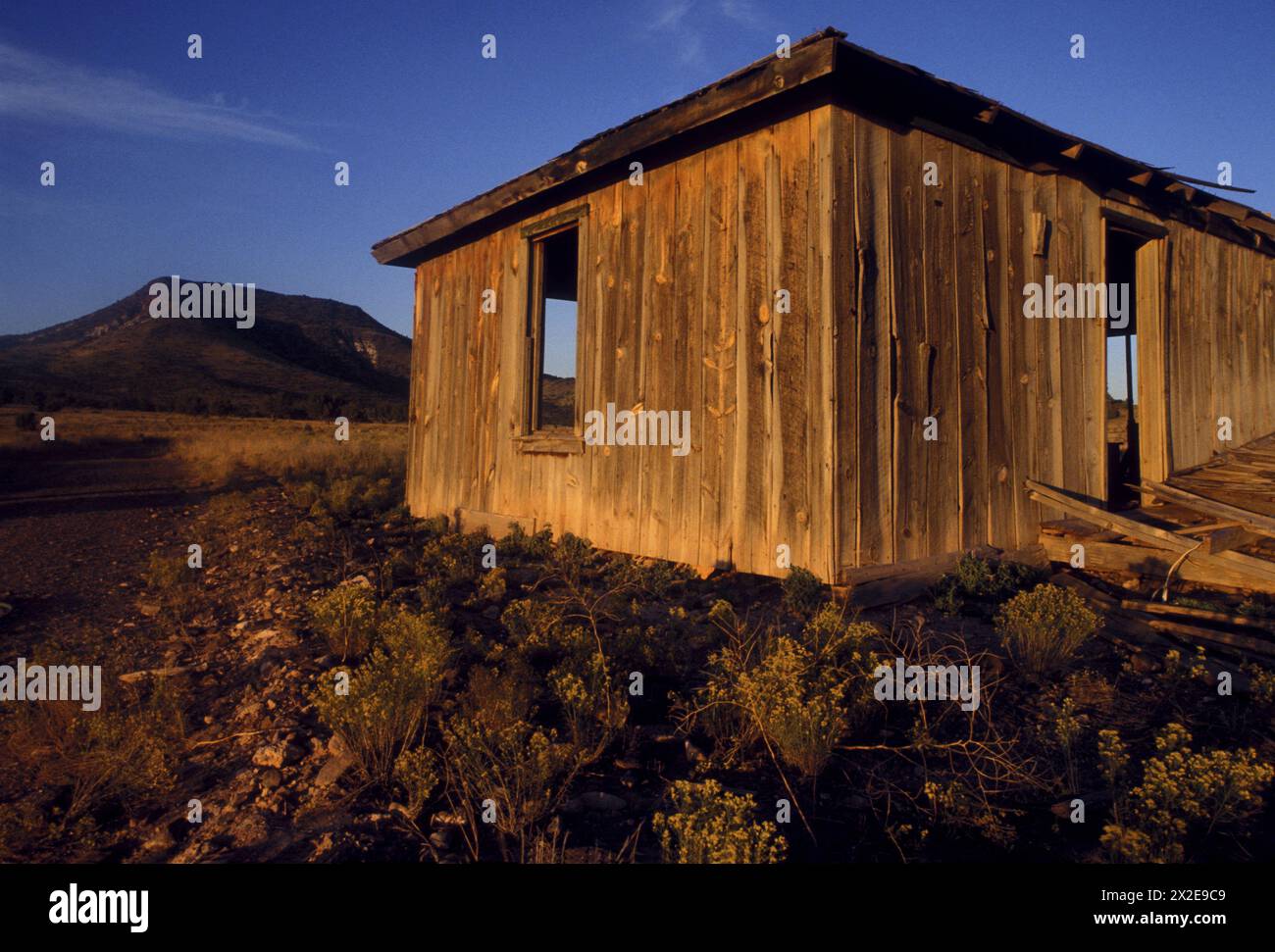 Old Arizona homestead Stock Photo - Alamy