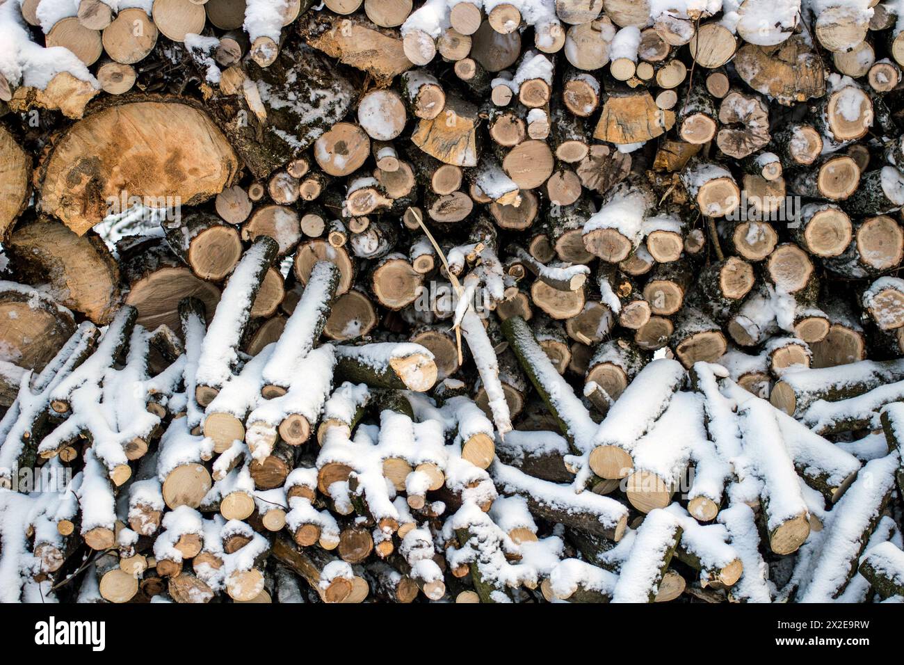Wall of stacked logs and branches. Firewood in the snow Stock Photo - Alamy