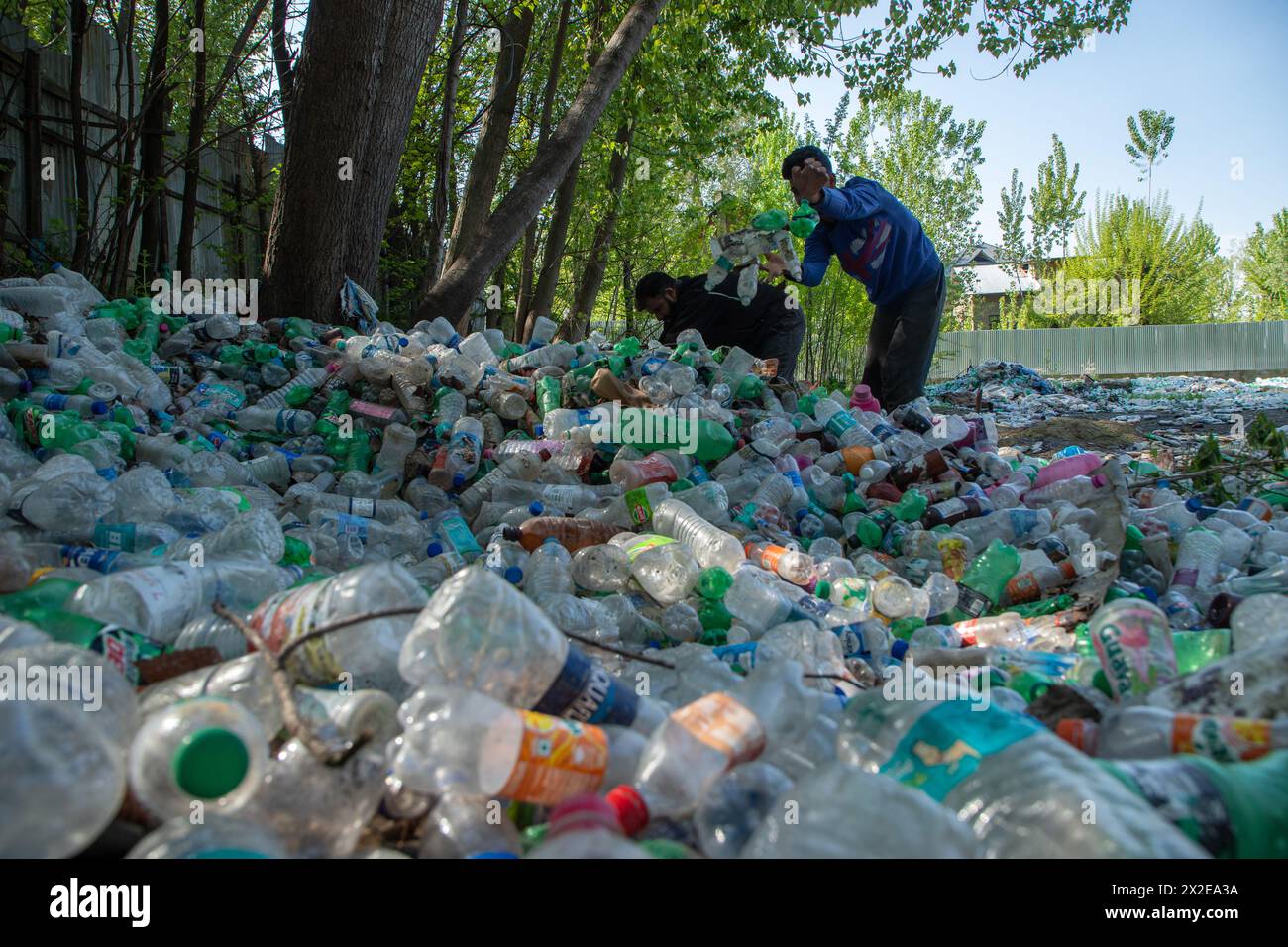 Srinagar, India. 22nd Apr, 2024. Workers sort and collect plastic waste ...