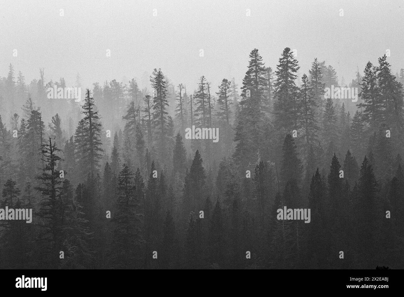 Smokey valley Black and White Stock Photos & Images - Alamy