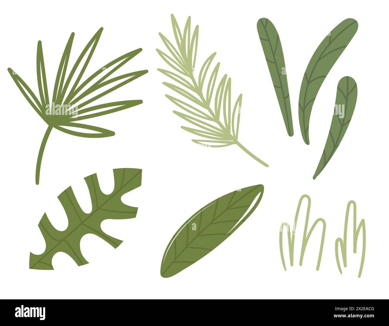 Set of simple green leaves vector illustration isolated on white ...