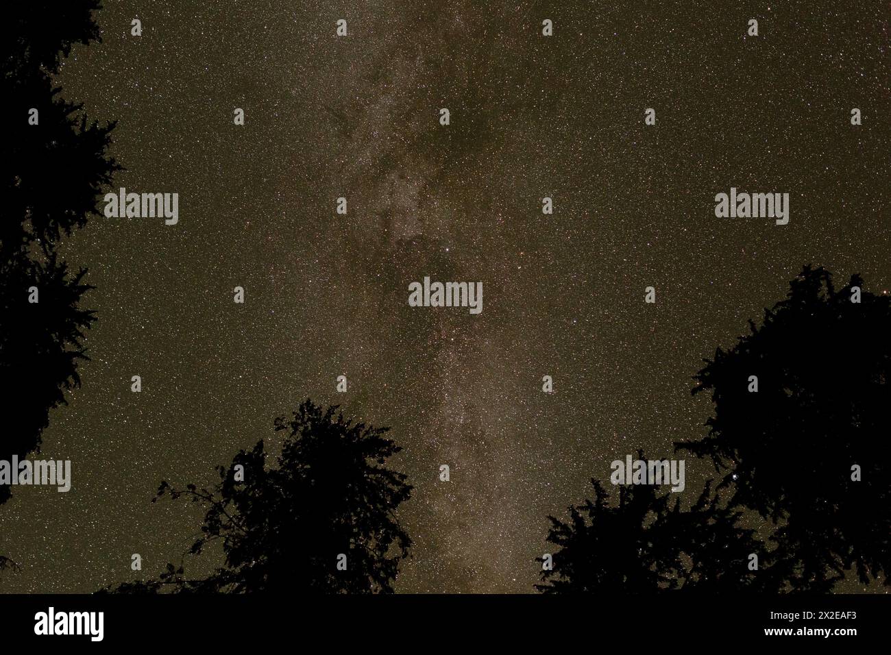 Starry night sky high resolution hi-res stock photography and images ...