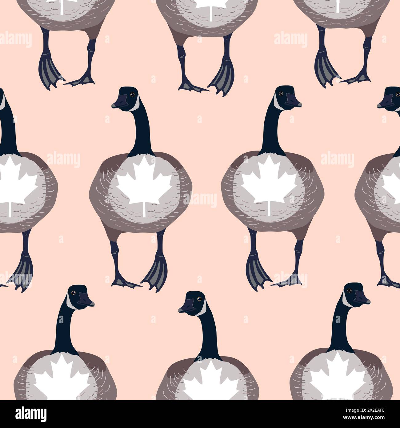 Canada goose bird with Canadian flag maple leaf on its chest, seamless ...