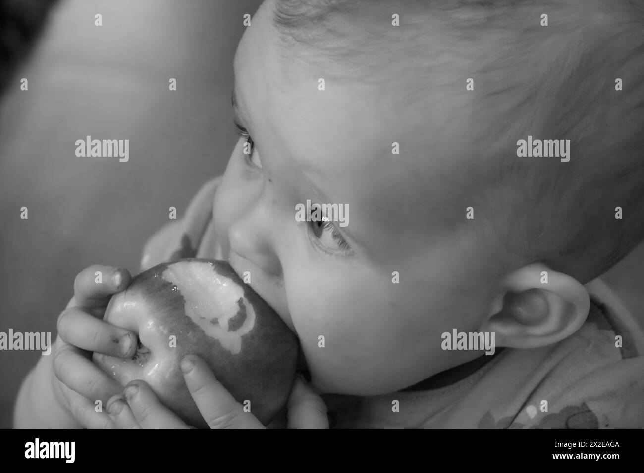 Infant exploring taste with a fresh apple bite Stock Photo - Alamy