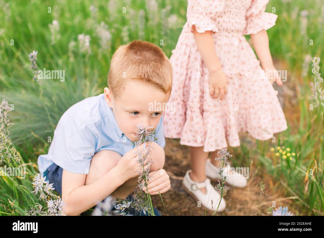 LIttle boy smelling wildflower by sister Stock Photo - Alamy