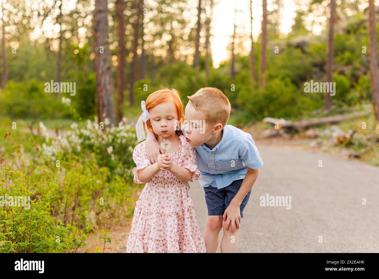 Boy and girl blow on dandelion together Stock Photo - Alamy