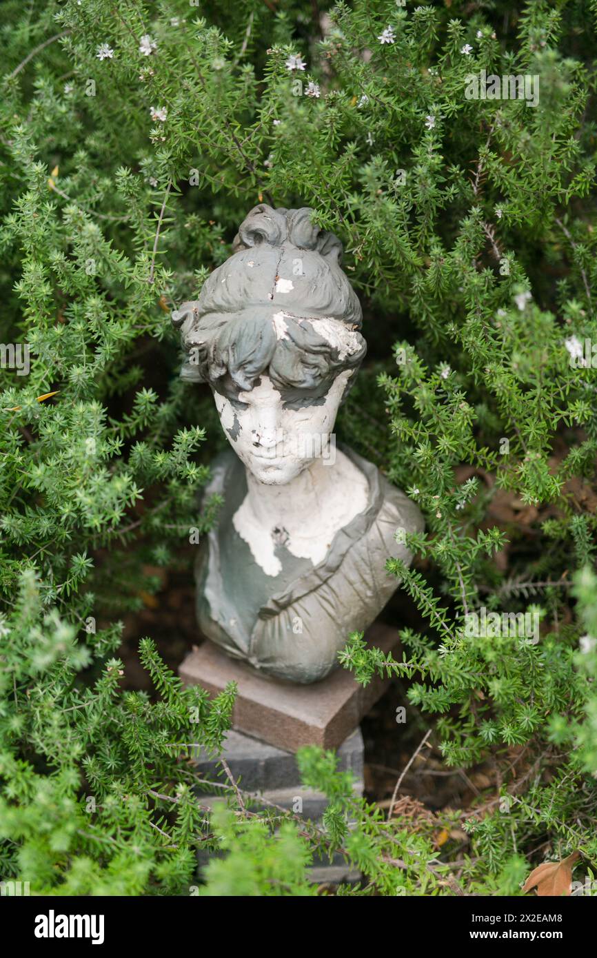 Aged garden statue nestled in greenery Stock Photo - Alamy