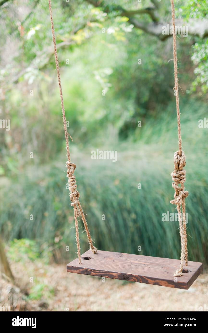 Plank swing hi-res stock photography and images - Alamy