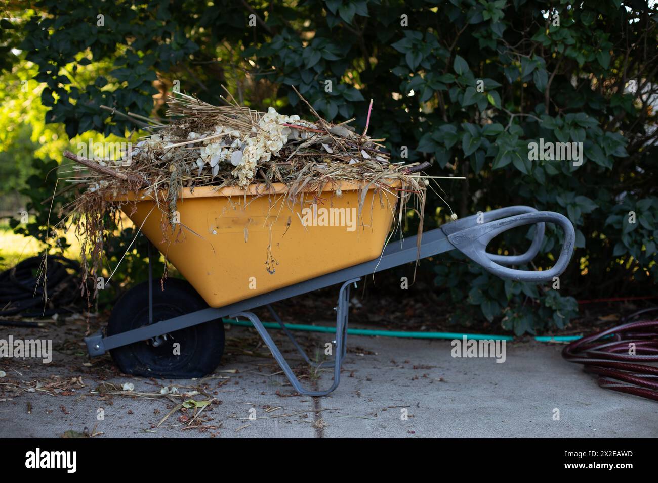 Orange wheelbarrow with flat tire Stock Photo - Alamy