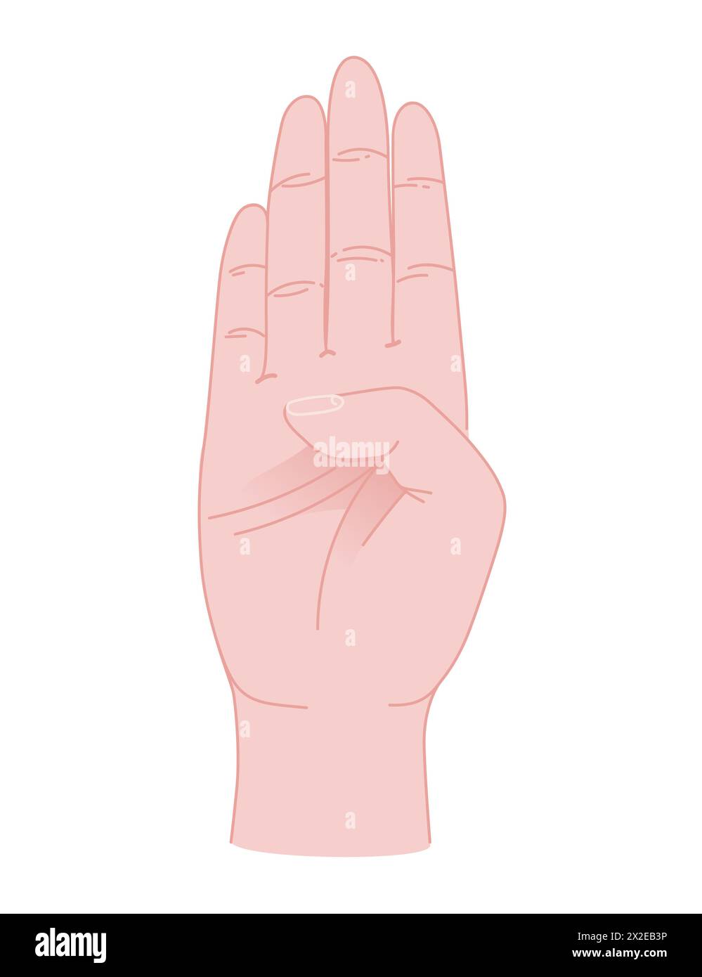Human hand palm gesture vector illustration isolated on white ...
