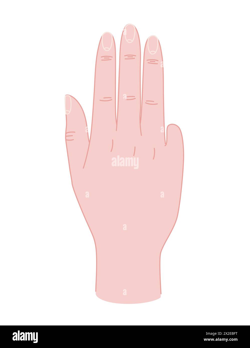 Human hand palm gesture vector illustration isolated on white ...