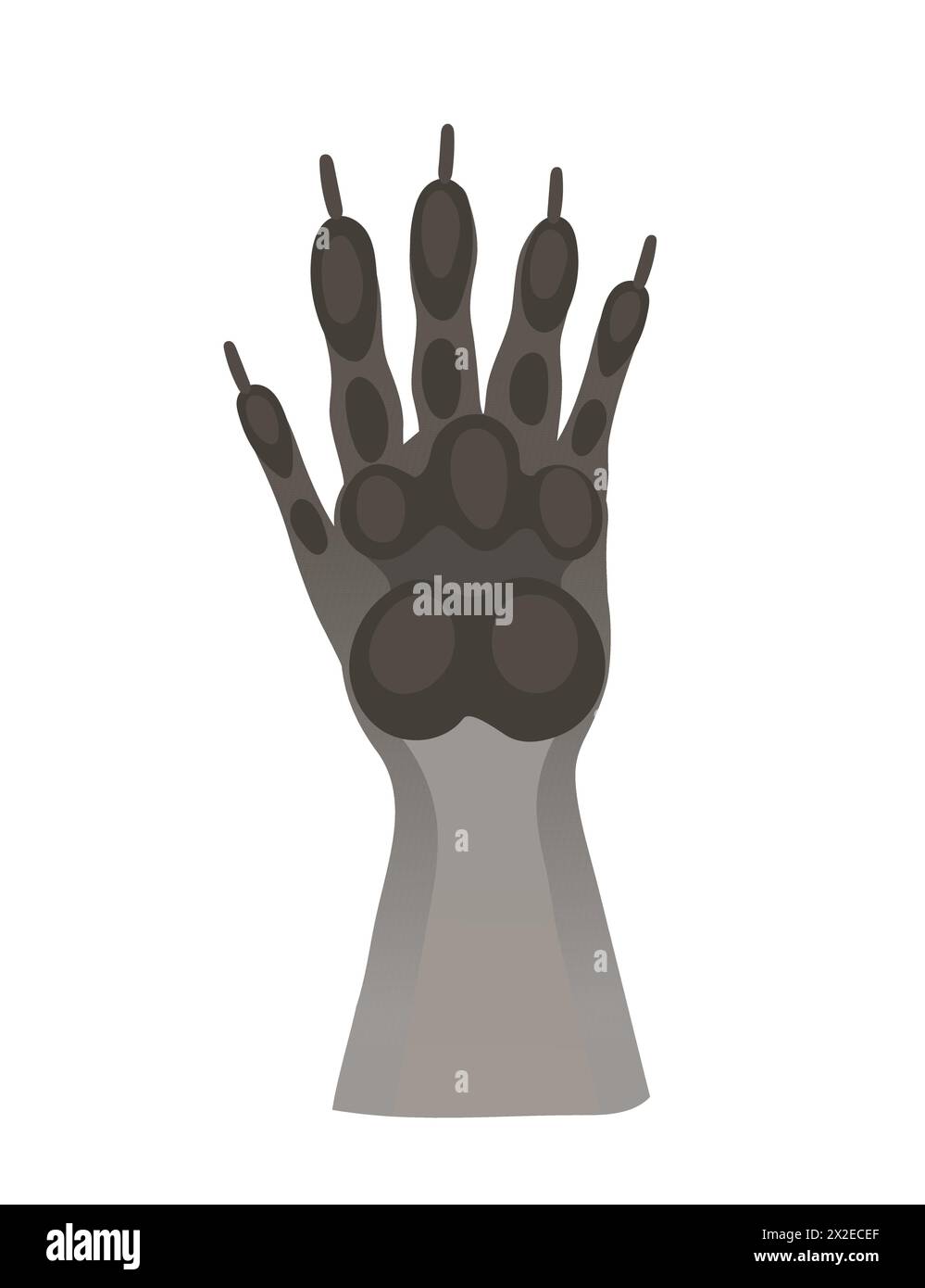 Raccoon paw cartoon simple animal part design vector illustration ...