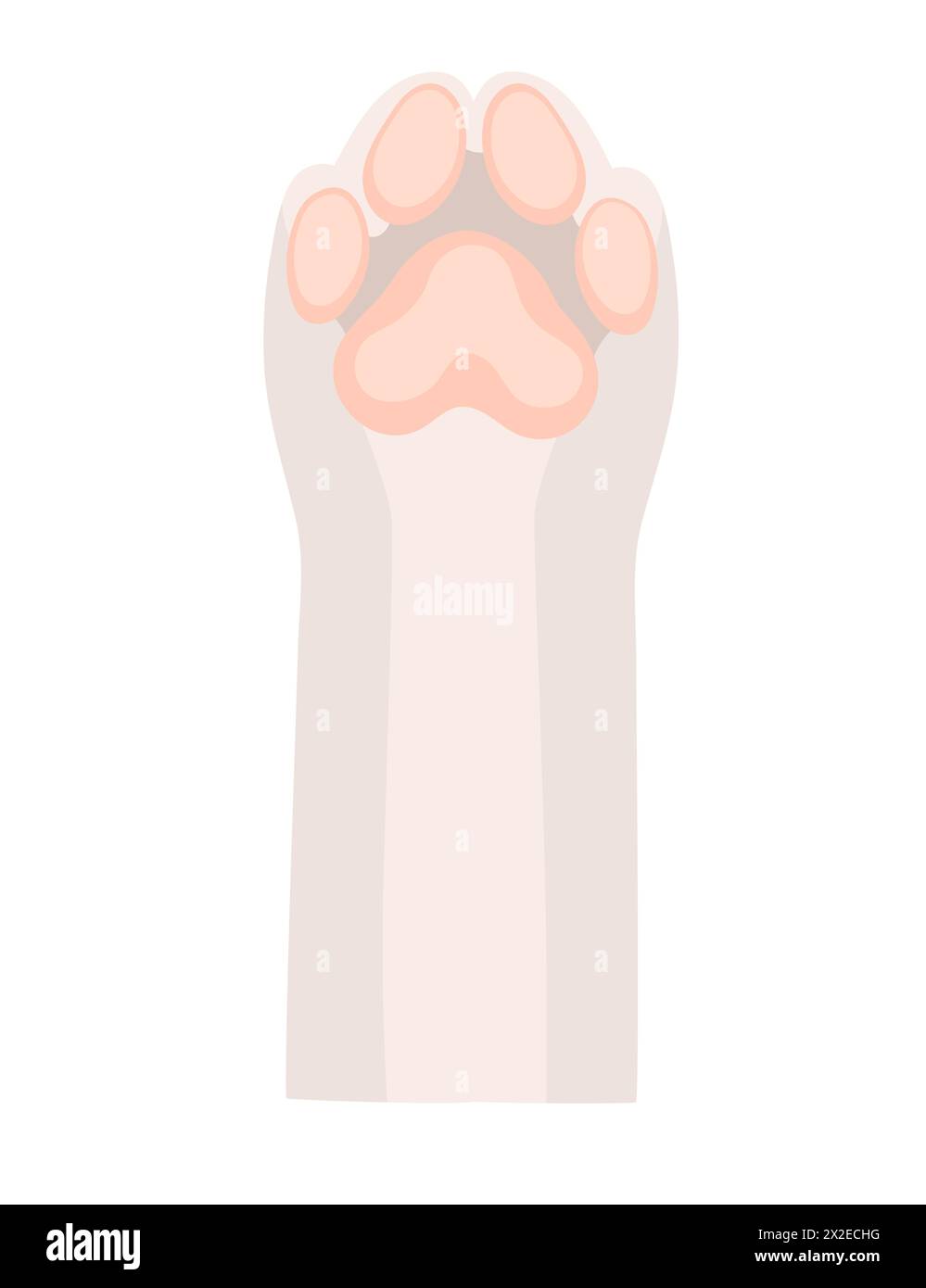 Rabbit paw cartoon simple animal part design vector illustration ...