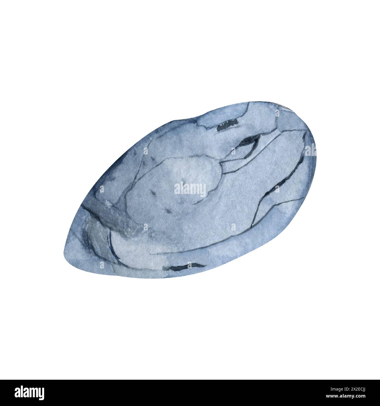 Watercolor blue pebble stone isolated on a white background Stock Photo ...