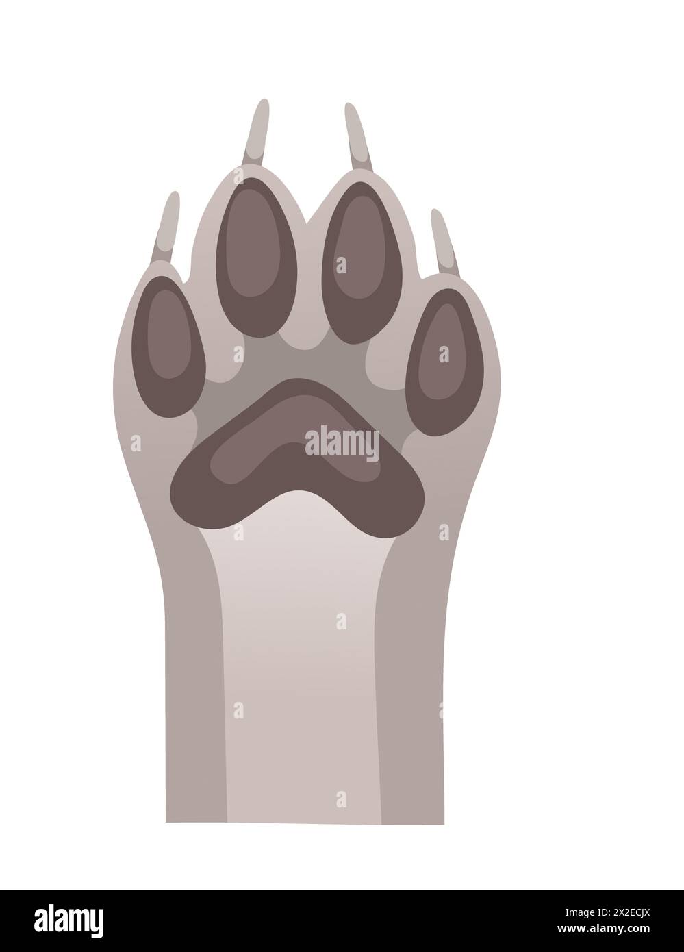 Grey wolf paw cartoon simple animal part design vector illustration ...