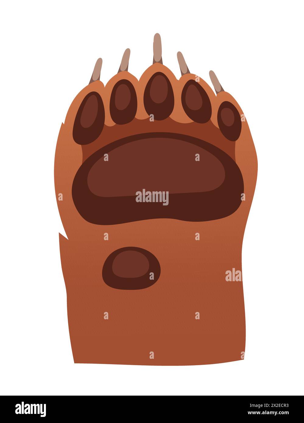 Bear paw cartoon simple animal part design vector illustration isolated ...